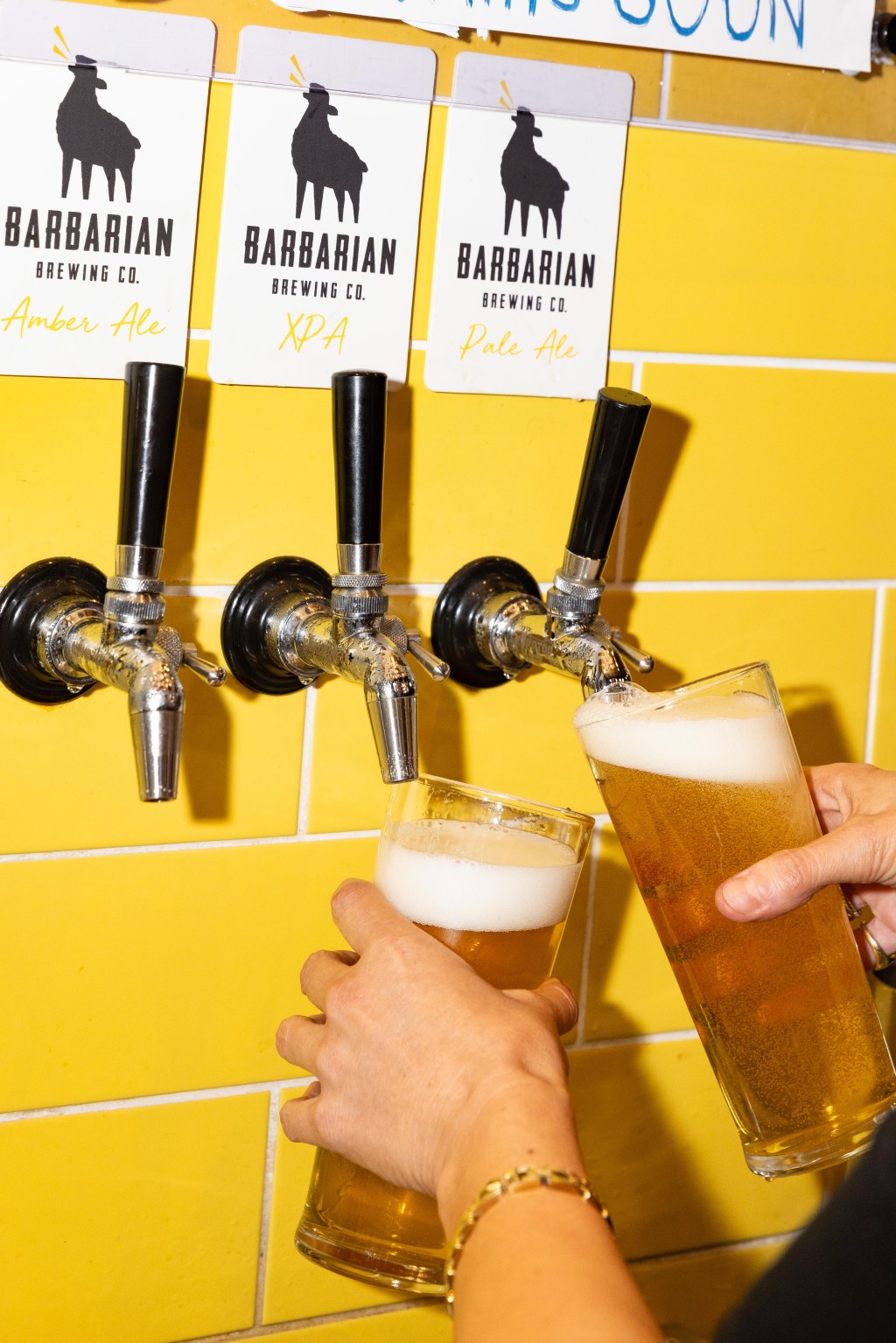Barbarian Brewing Co – Good beer for good people